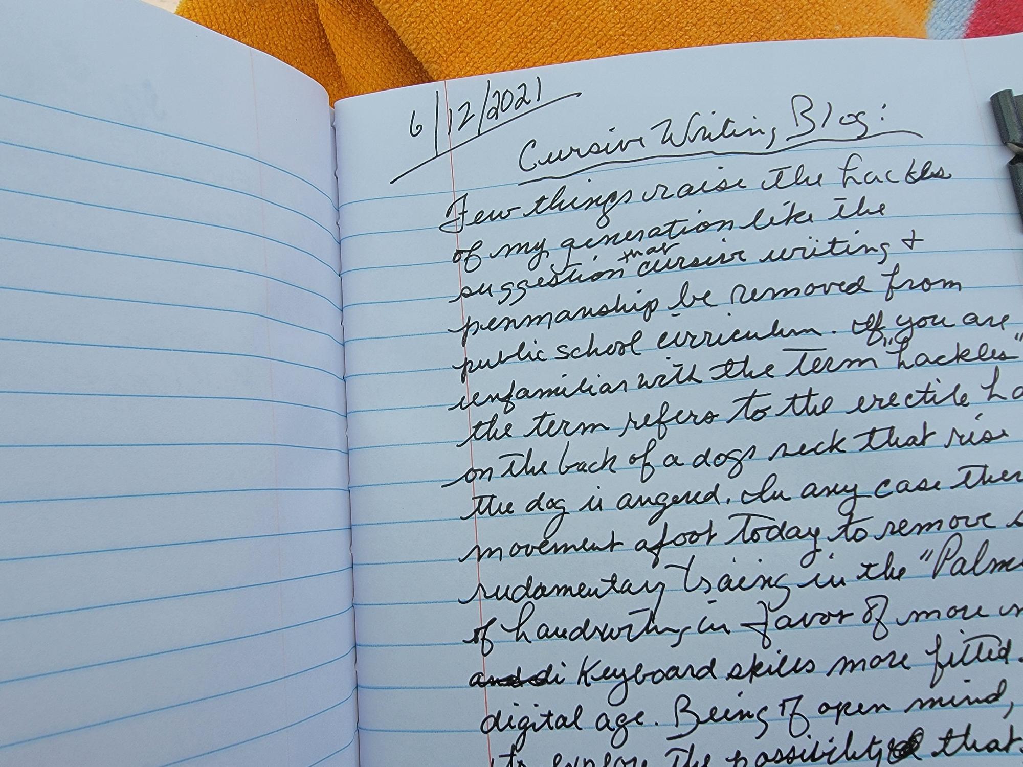 Longhand: thoughts on cursive writing | Ed's end of the planet books
